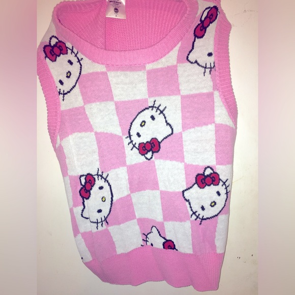 H&M | Jackets & Coats | This Is A Hello Kitty Sweater Vest From Hm ...